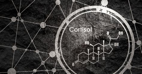 How Natural Cortisol Impacts Your Body Facty Health