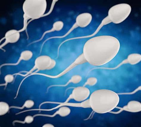 El Primer Anticonceptivo Masculino En El Horizonte