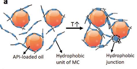 Temperature Responsive Nanoemulsion Systems For Tunable Colloidal Gelation Doyle Research Group