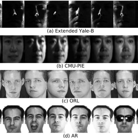 Some Face Images From Different Face Databases A Extended Yale B Download Scientific