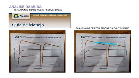 Tecnologia E Bateria Ecoturb® Em Aviário Ecoturb Life Saúde Plena