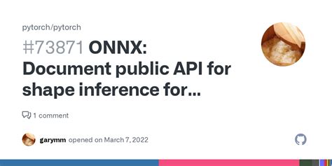 Onnx Document Public Api For Shape Inference For Custom Symbolics · Issue 73871 · Pytorch