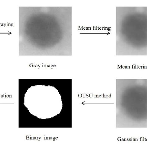 flowchart of image preprocessing and segmentation download
