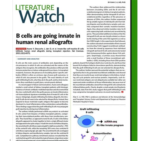 A Cartoon Picture Showing Features Of Graft Infiltrating B Cells Which