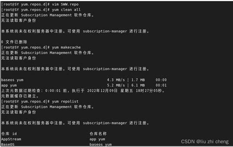 Linux Redhat9创建软件仓库rhel9添加仓库 Csdn博客