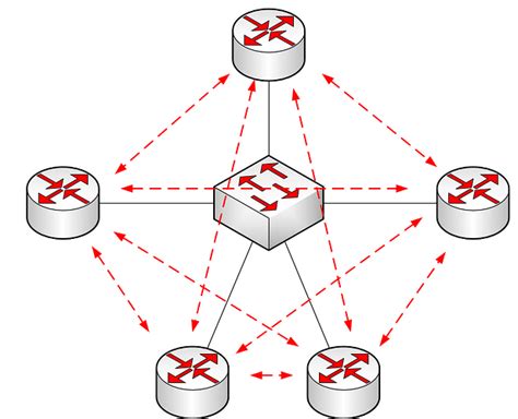 OSPF DR BDR Election Explained Page 5 Lessons Discussion