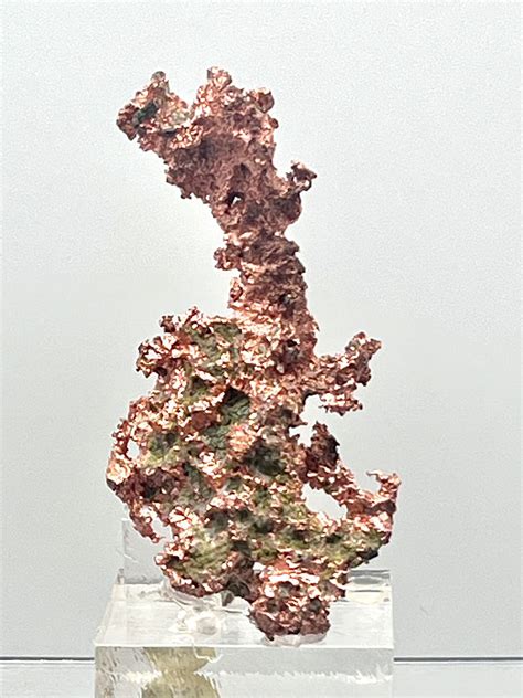 House Of Fossils And Gems Copper
