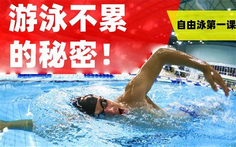 自由泳修正错误的秘密技巧使你游泳不累 dwy20171 默认收藏夹 哔哩哔哩视频