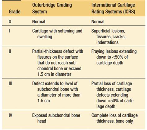 Lésions Chondrales Focales Du Genou Blog Kinesport