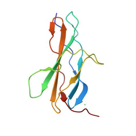 Rcsb Pdb 8omw Crystal Structure Of The Titin Domain Fn3 20