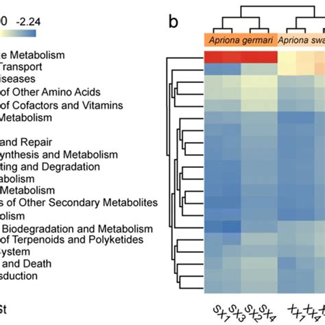 Heat Maps And Hierarchical Clustering Of Differentially Abundant Kegg