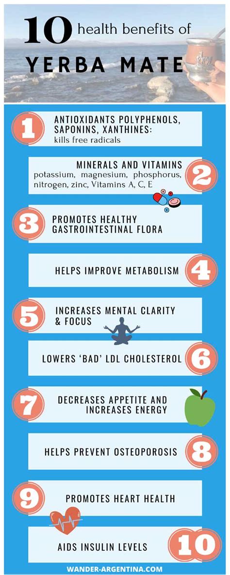 Yerba Mate Tea Benefits
