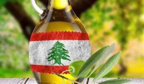 الوكالة الوطنية للإعلام لبنان يحصل على الميدالية الذهبية لأجود أنواع