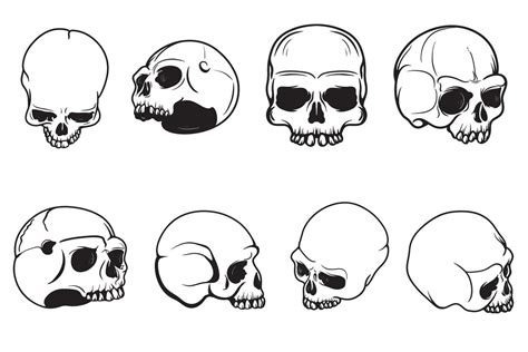 Set Of Skull Drawings Of Human Skull Vector Vector Art At Vecteezy