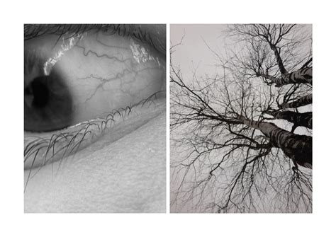 Pin By ☠noell☠ On Humans And Nature Conceptual Photography Photography