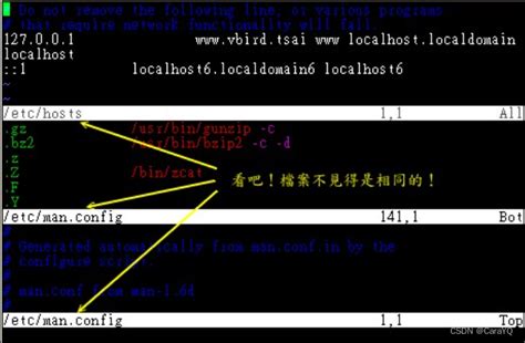 【第九章】vim程序编辑器vim Hosts Csdn博客