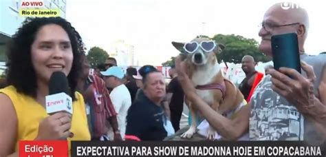 Repórter Da Globo é Atacada Por Cachorro Ao Vivo Bastidores Da Tv