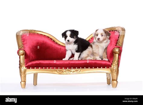 Shepherds Lifestyle Cut Out Stock Images And Pictures Alamy