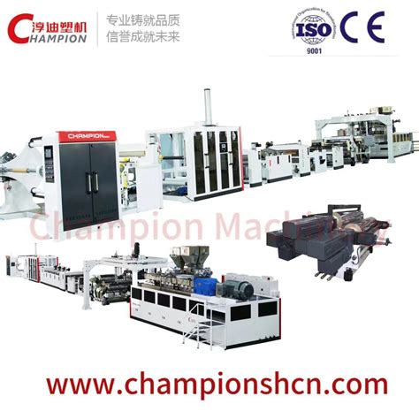 Parallel Twin Screw Extruder APET PETG CPET Sheet Plate Plastic