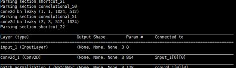 Convert Weights Error Anyone Successed On Tensorflow Issue Qqwweee Keras Yolo