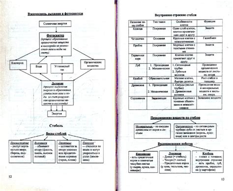 Таблицы и схемы по биологии для подготовки к егэ