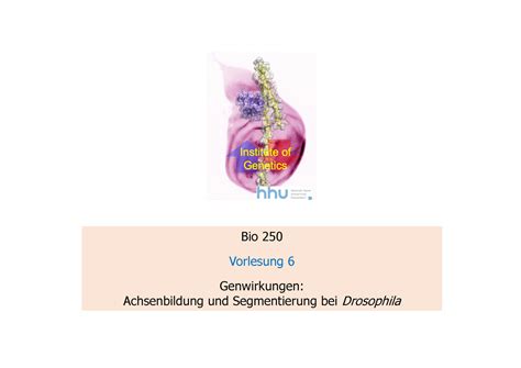 Vorlesung 13 Klein So Se22 Bio 250 Vorlesung 6 Genwirkungen