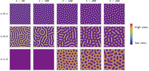 2 Simulation Results Of Species U 1 In The Gierer Meinhardt Model Download Scientific Diagram