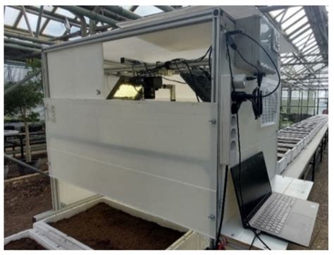 Development Of A Detection System For Types Of Weeds In Maize Zea Mays