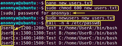 How To Create Multiple Users In Linux Methods LinuxSimply