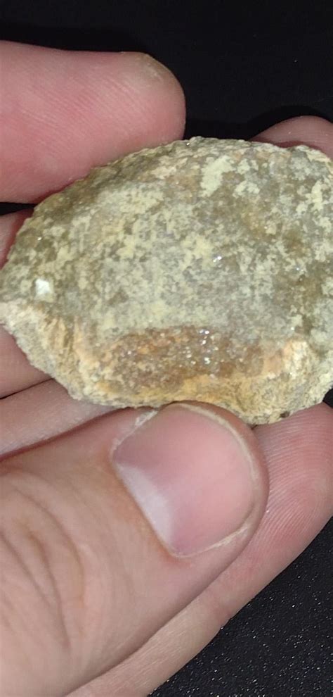 Fossil Bone From Limestone Cliff Central Texas Rfossilid