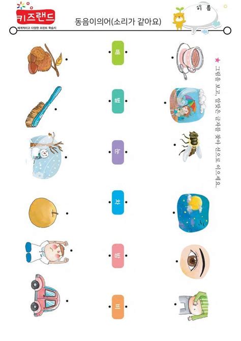 동음이의어 명사 키즈랜드 학습 활동 그림 카드 교육