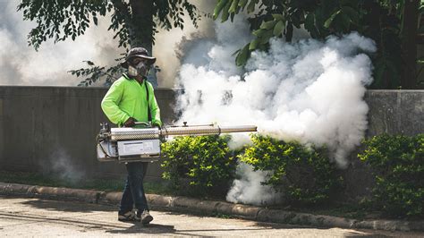 Testimonials Reviews Of Shield Pest Solutions