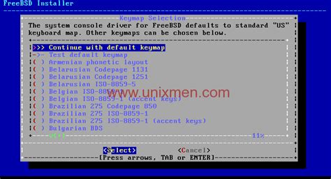 Freebsd10 Install Step By Step Unixmen