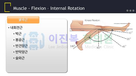 전주 이진복한의원 무릎 관절의 해부학적 구조