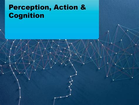 Perception Action And Cognition