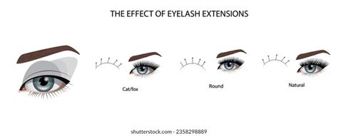 Lash Extension Direction Over 57 Royalty Free Licensable Stock