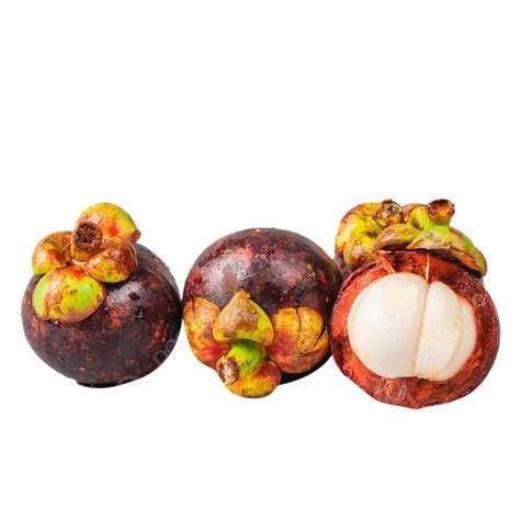 망고스틴 녹색 과일 신선한 과일 열매 Png 일러스트 및 이미지 에 대한 무료 다운로드 Pngtree