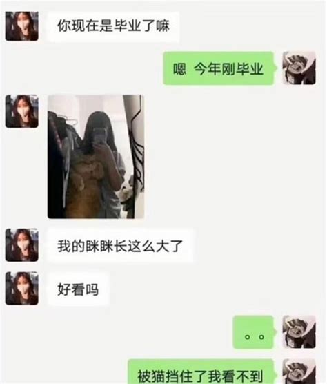 无聊图 蛋友贴图专版