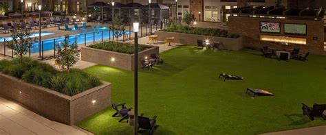 Trionic Plus Synlawn