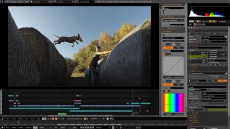 Conheça os melhores editores de vídeo sem marca d água grátis para PC