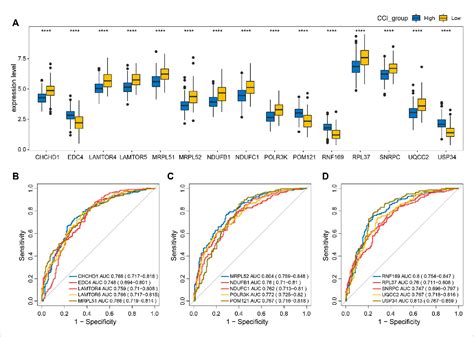 Figure 1 From Integrative Analysis Of Circadian Clock With Prognostic