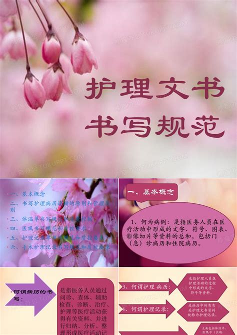 护理文书书写规范PPT模板下载 编号lnrgzzge 熊猫办公