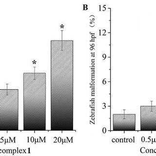 Malformation of zebrafish exposed to 20 µM complexes 1 and 2 A normal