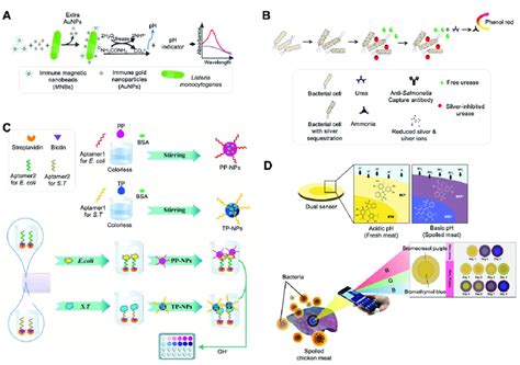 Colorimetric Ph Indicator At Ann Kennedy Blog