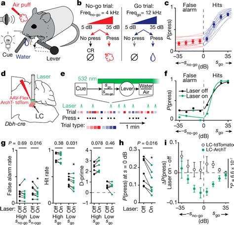 Lc Na Activity Facilitates Behavioural Responses To Low Evidence Download Scientific Diagram