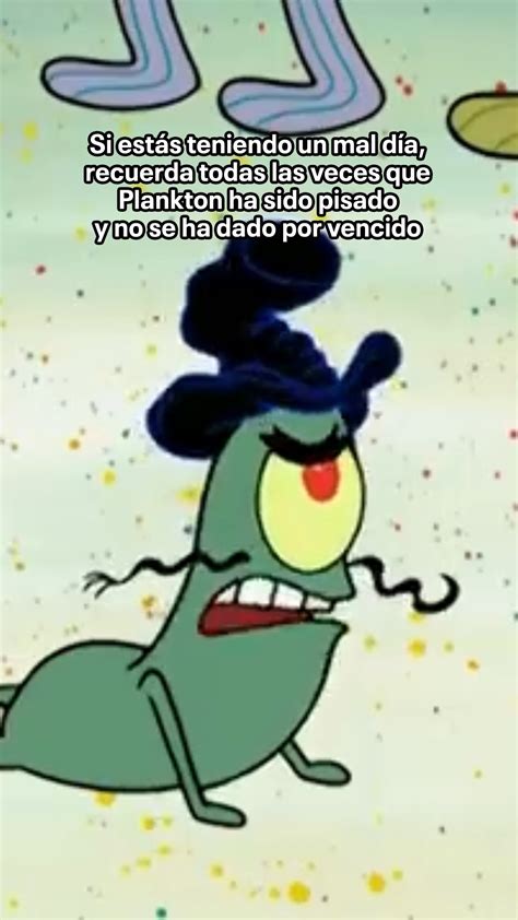 Lo Mejor De La Temporada 8 De Bob Esponja Comp Lo Mejor De La
