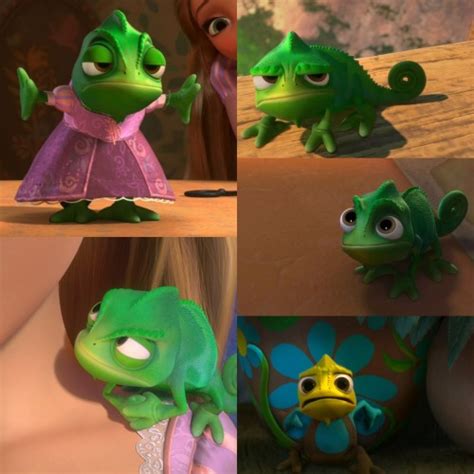 Pascal The Chameleon On Tumblr