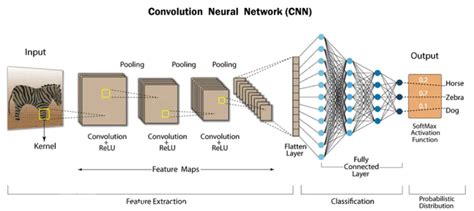 Understanding Neural Networks A Beginner S Guide Best It Training