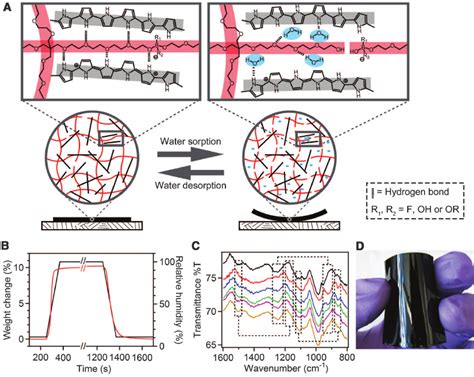 Characterization Of PEE PPy Composite Films A A PEE PPy