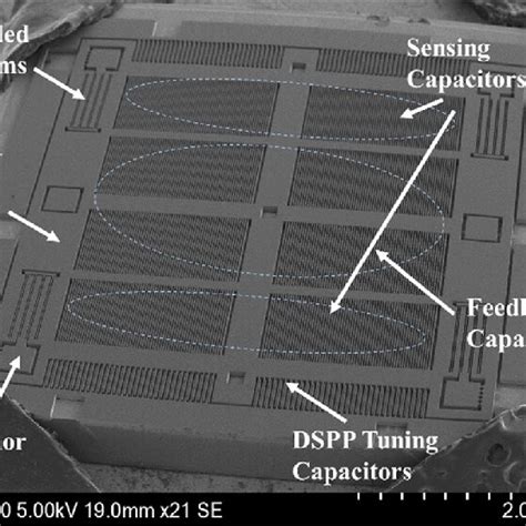 Scanning Electron Microscope Sem Image Of The Fabricated
